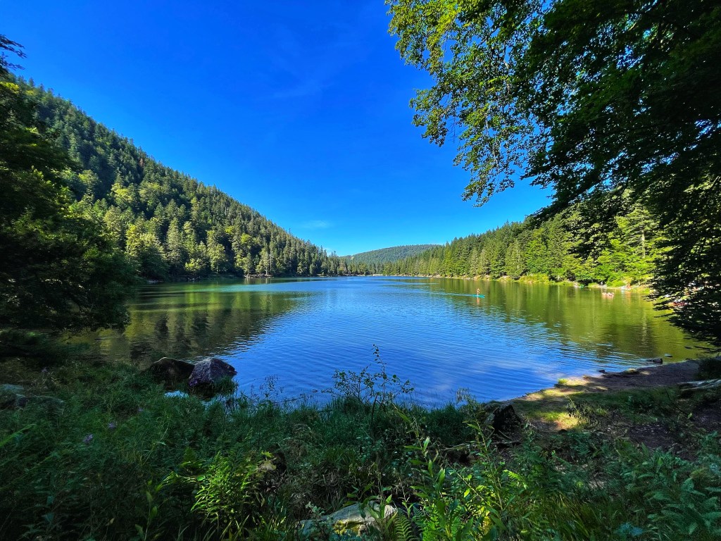 A la découverte des plus beaux lacs des Vosges en été - Un goût de voyage